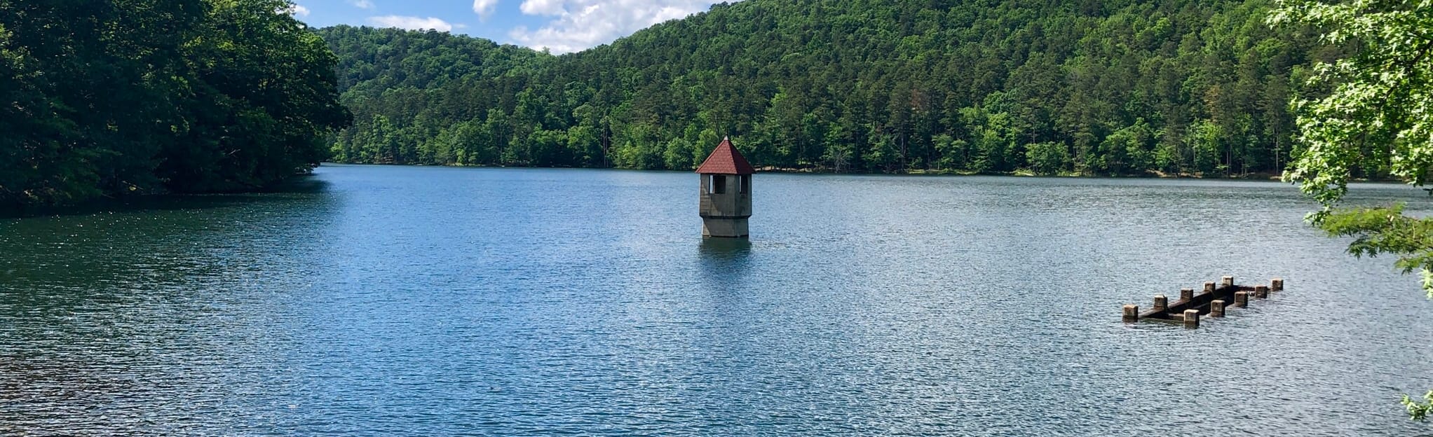 Berry Reservoir Trail, Georgia - 220 Reviews, Map | AllTrails