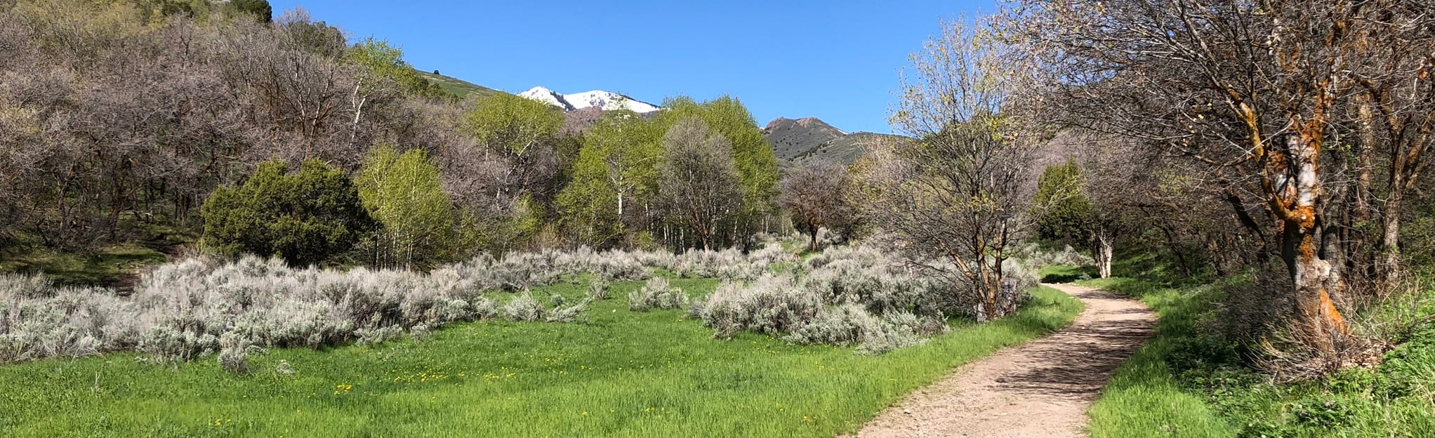 Yellow Fork Trail, Utah - 796 Reviews, Map | AllTrails