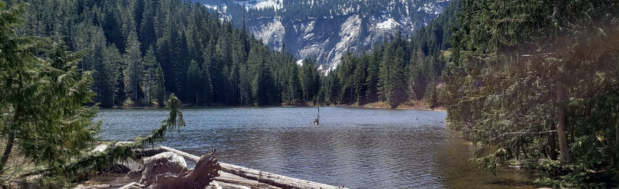 Greider Lakes Trail: 525 Reviews, Map - Washington | AllTrails