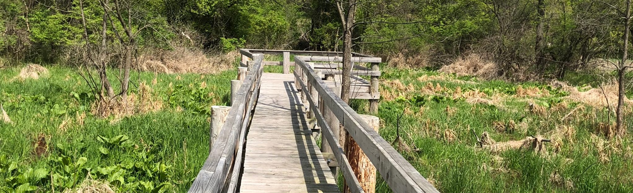 Oak Ridge Trail, Michigan - 34 Reviews, Map | AllTrails