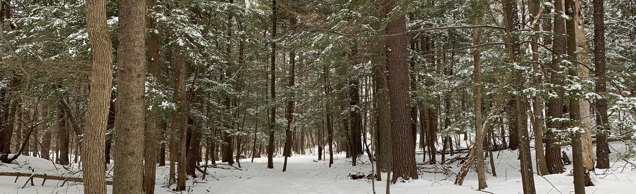 Trail Around Middlebury to Chipman Hill, Vermont - 22 Reviews, Map ...