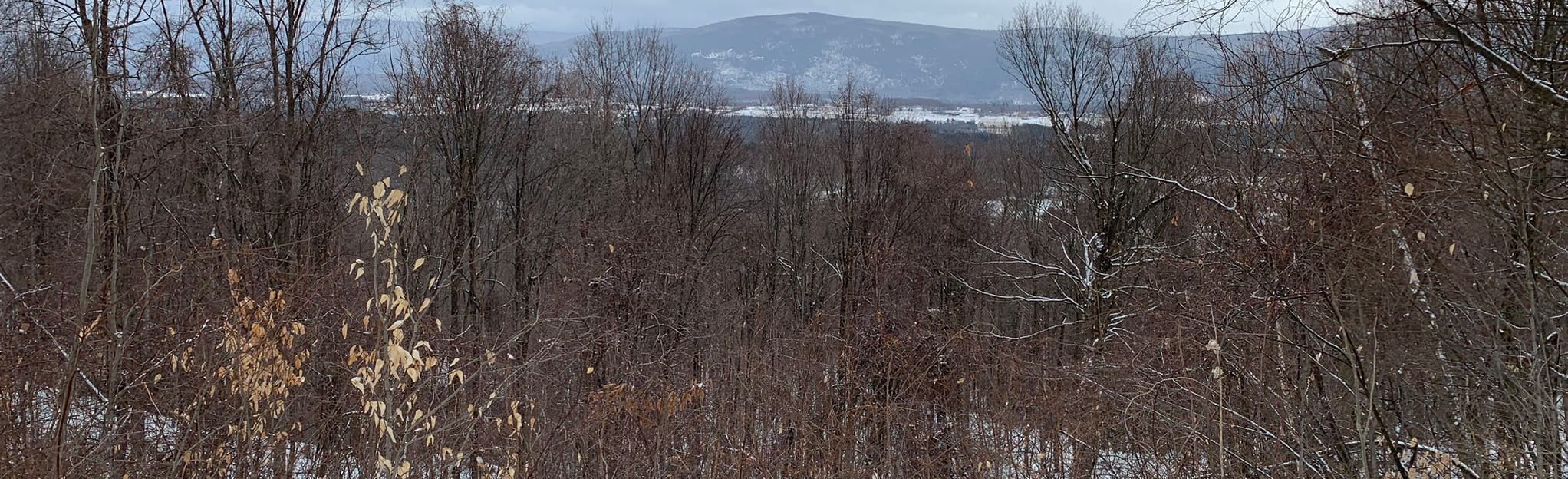 Trail Around Middlebury: Full Loop, Vermont - 74 Reviews, Map | AllTrails