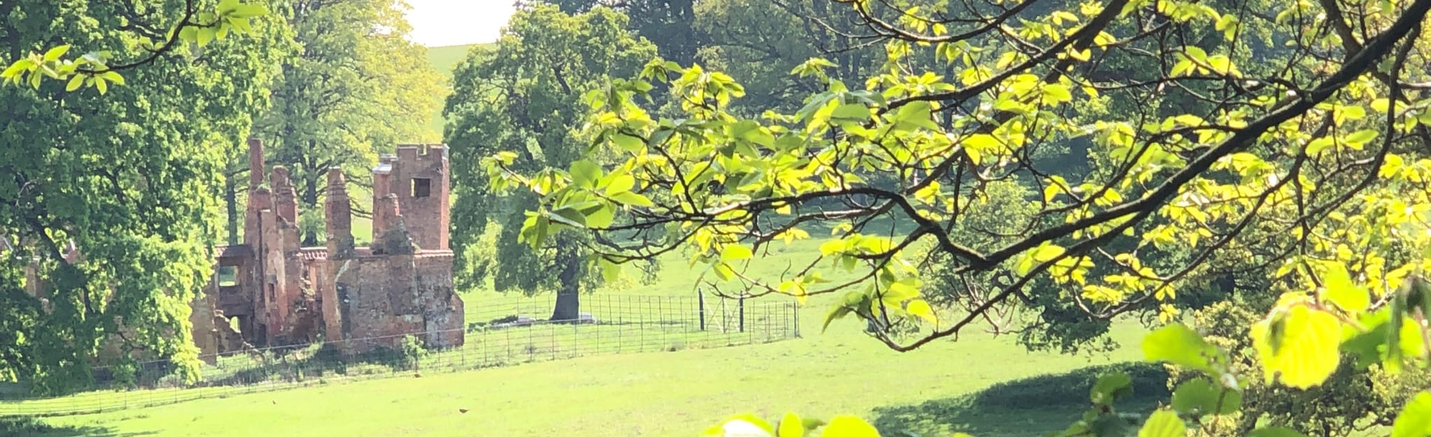 Badby Woods Circular, Northamptonshire, England - 137 Reviews, Map ...