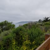 Shell Beach Bluff Trail, California - 127 Reviews, Map | AllTrails