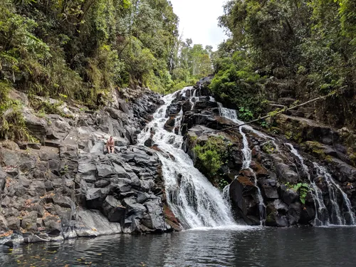 10 Best Hikes and Trails in Tully Falls National Park | AllTrails