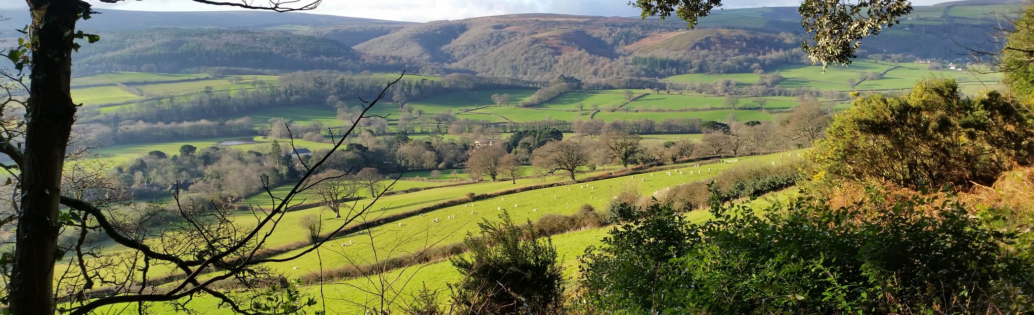 Selworthy and Bury Castle Circular, Somerset, England - 11 Reviews, Map ...