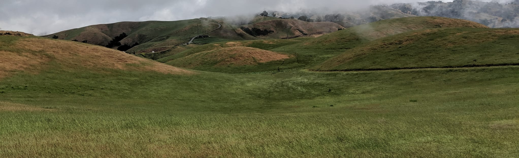 Aquila Loop Trail, California - 247 Reviews, Map | AllTrails