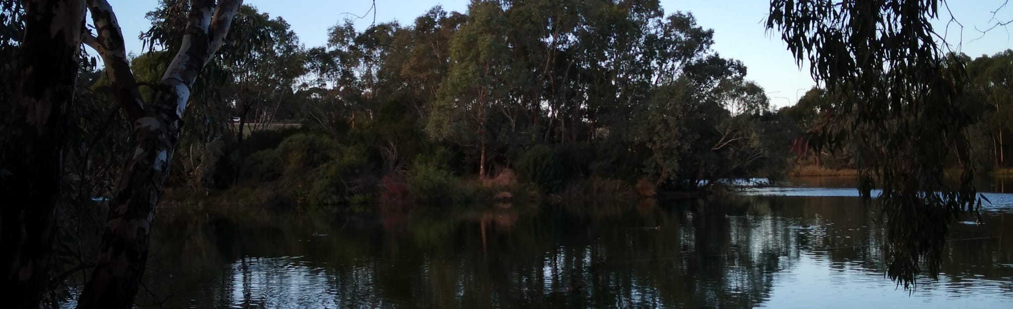 Laratinga Wetlands Loop, South Australia, Australia - 53 Reviews, Map ...