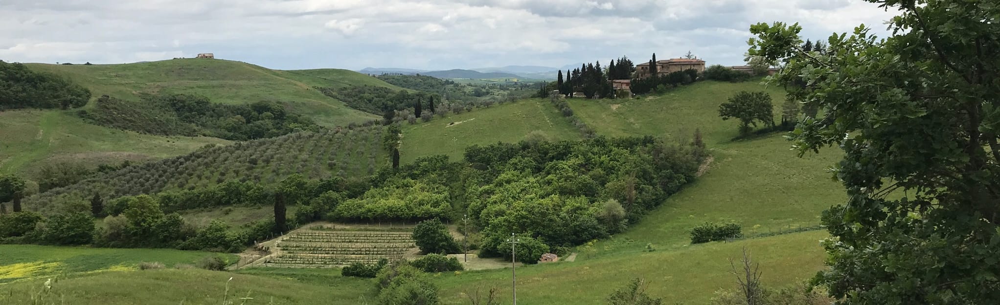 Monte Oliveto Maggiore - Pieve a Salti, Tuscany, Italy - 10 Reviews ...