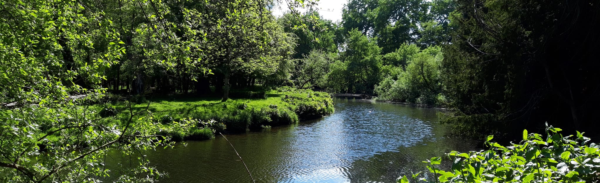 Pollok Country Park Circular: 169 Reviews, Map - Glasgow City, Scotland ...