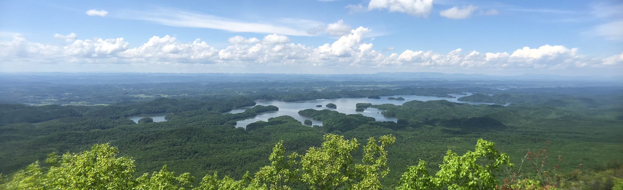 Holston Mountain and Flint Mill Gap: 49 Reviews, Map - Tennessee ...