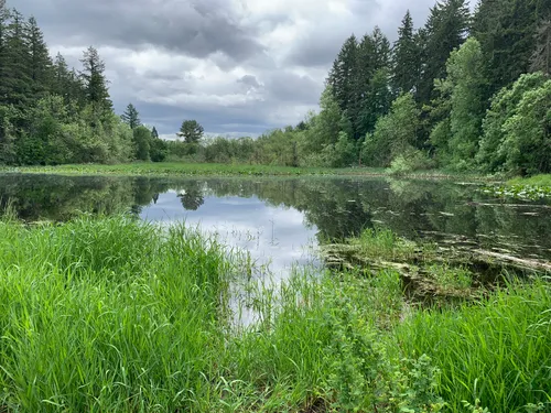 Best Hikes and Trails in Lake Lois Habitat Reserve | AllTrails