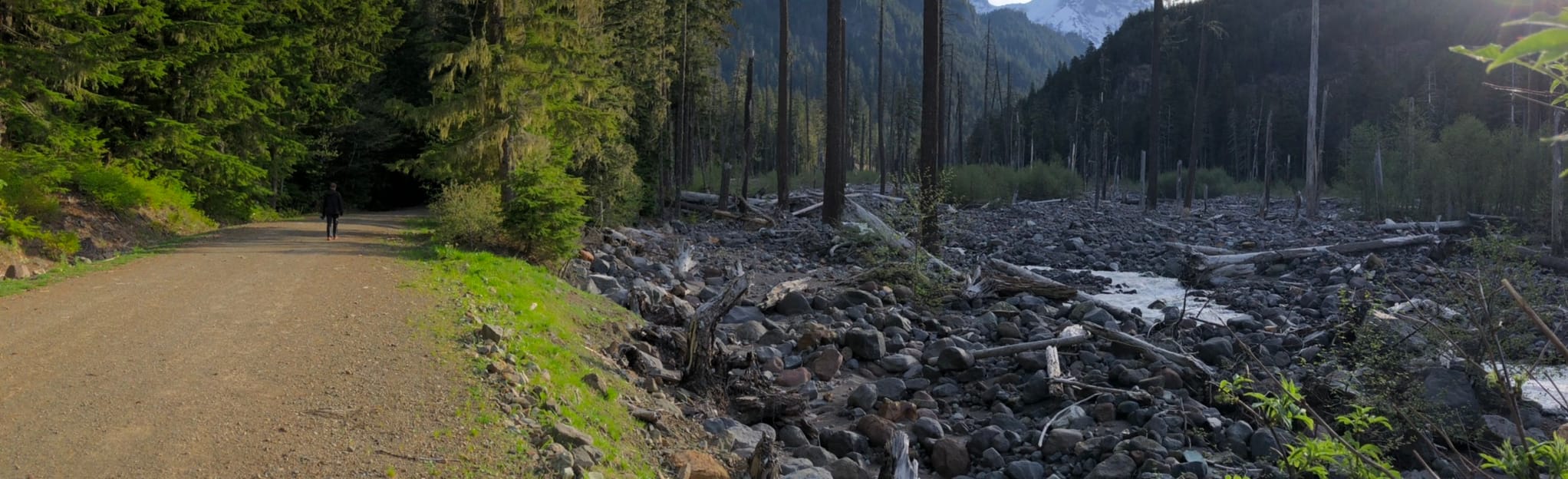 Lake George Trail: 331 foto's - Washington | AllTrails