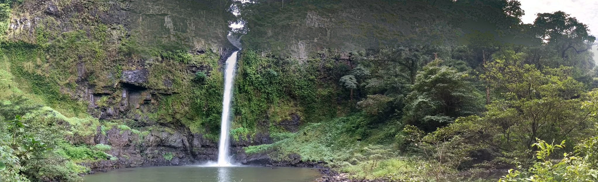Nandroya Falls Walking Track: 53 Reviews, Map - Queensland, Australia ...