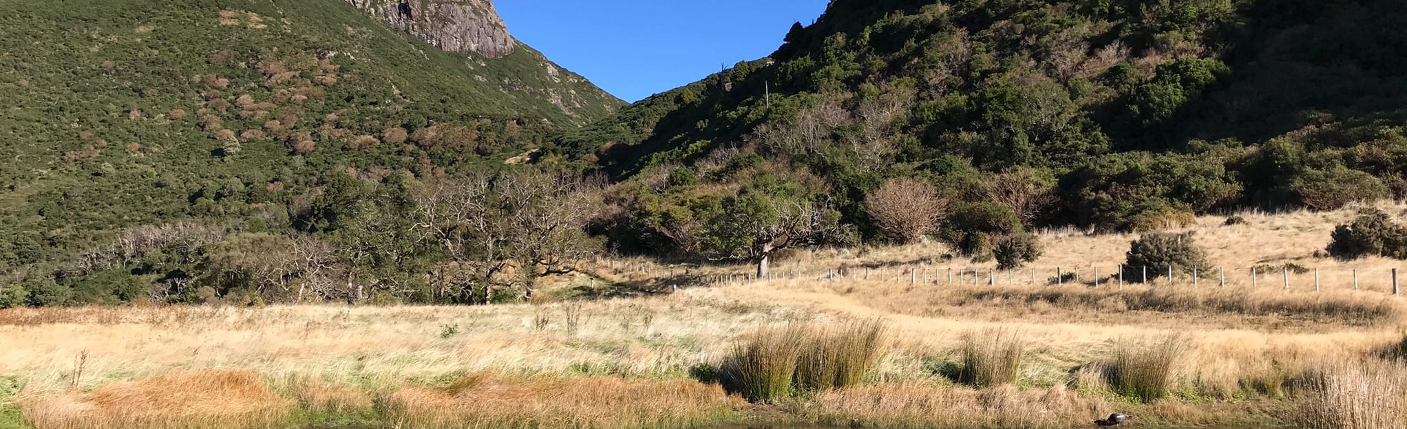Curry Track: 10 Reviews, Map - Canterbury, New Zealand | AllTrails