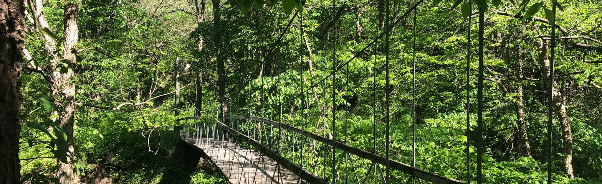 Red Cedar Trail, Nebraska - 178 Reviews, Map | AllTrails