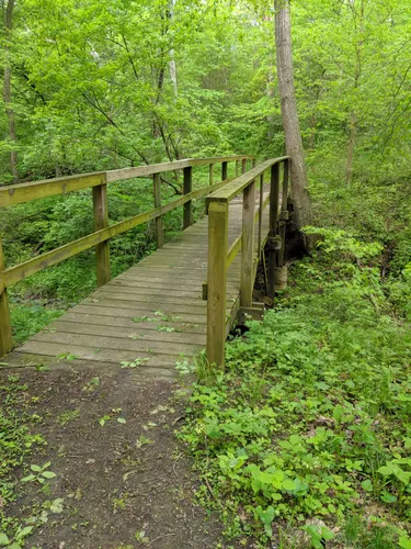 Best Hikes and Trails in Jubilee College State Park | AllTrails