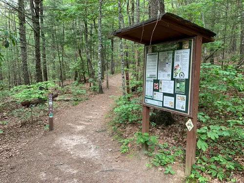 Best Kid Friendly Trails in Blue Ridge | AllTrails