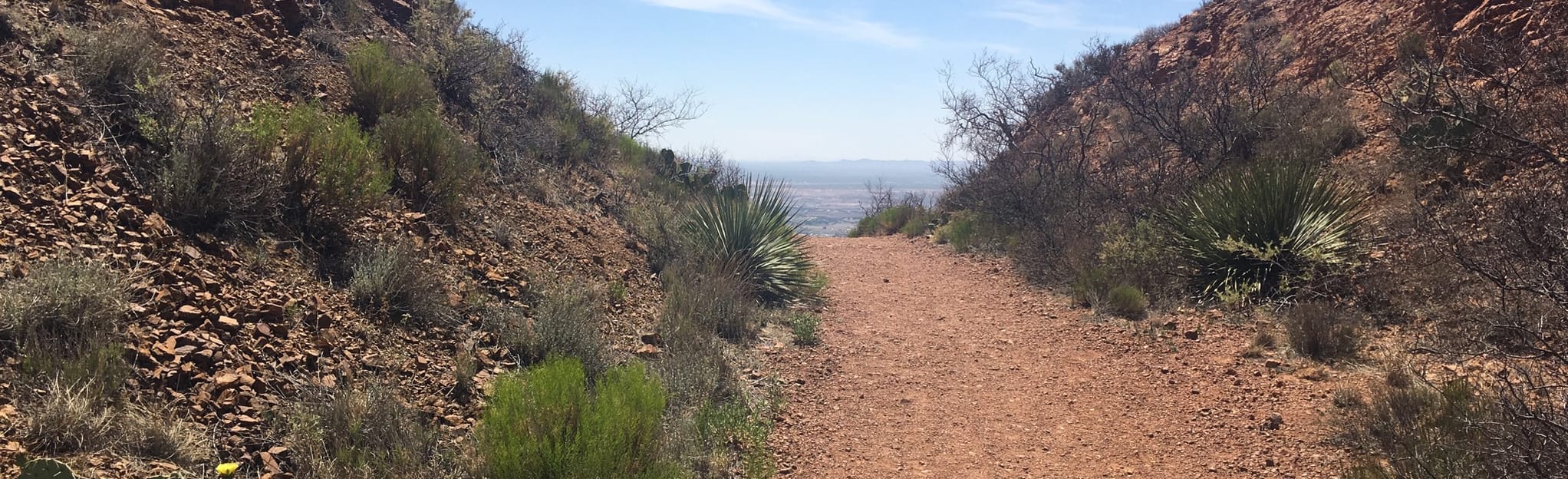 Trans-Franklin Mountain Trail: 180 Reviews, Map - Texas | AllTrails
