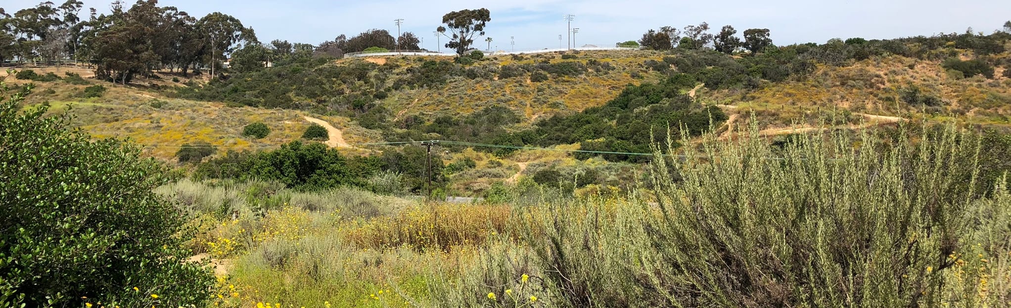 Morley Field Trail - California | AllTrails