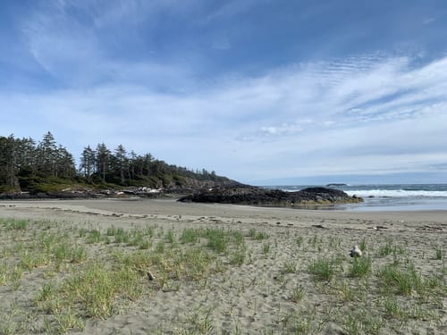 Best 10 Hikes and Trails in Pacific Rim National Park Reserve | AllTrails