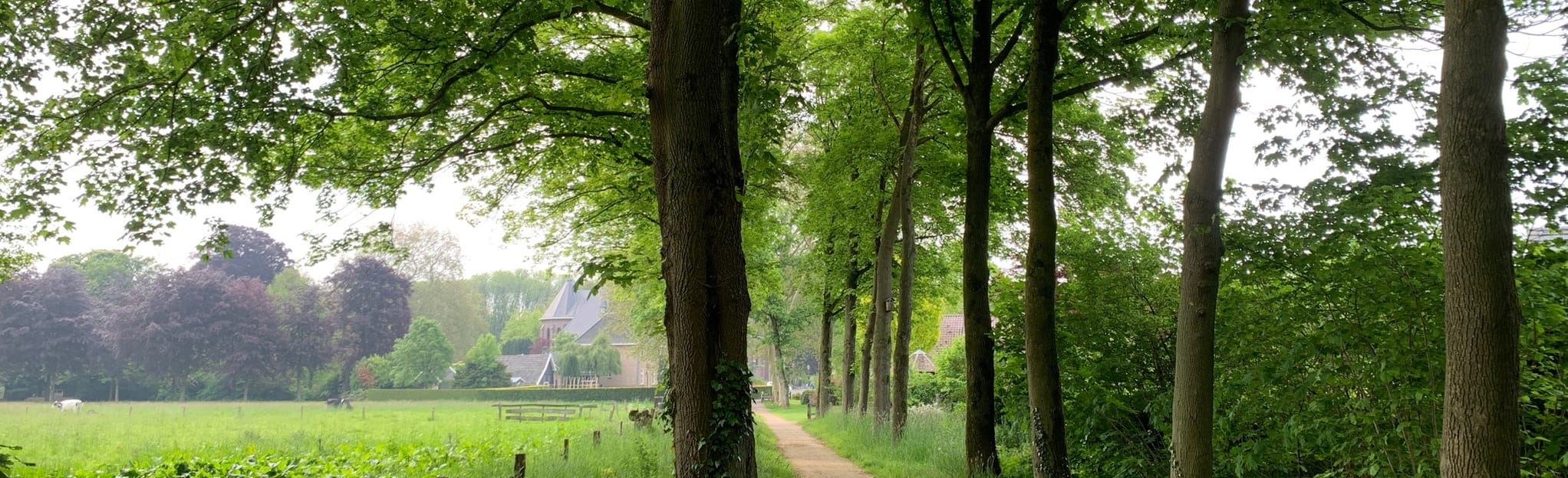 Saasveld Groene Wandelroute, Overijssel, Netherlands - 3 Reviews, Map ...