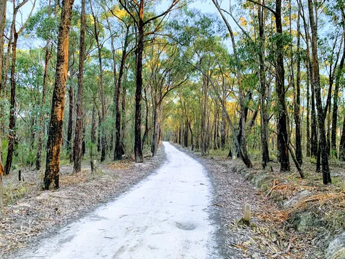 Best Hikes and Trails in Moondarra State Park | AllTrails