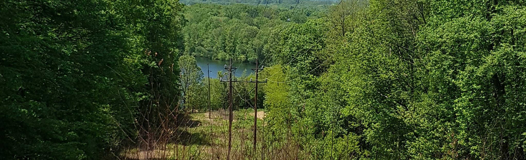 Dickerson Mine Trail: 255 Reviews, Map - New Jersey | AllTrails