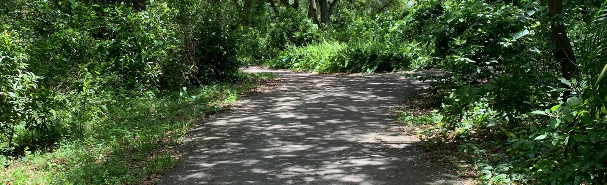 Tree Tops Equestrian Trail, Florida - 12 Reviews, Map | AllTrails