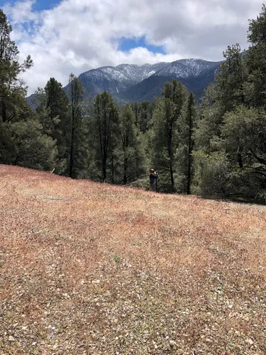 10 Best Trails and Hikes in Frazier Park | AllTrails