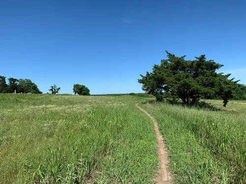 10 Best Trails and Hikes in McKinney | AllTrails