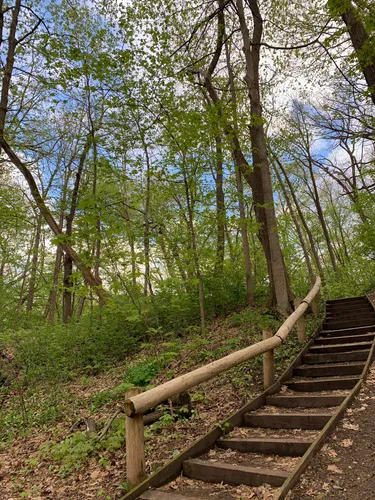Best Hikes and Trails in Jacobus Park | AllTrails