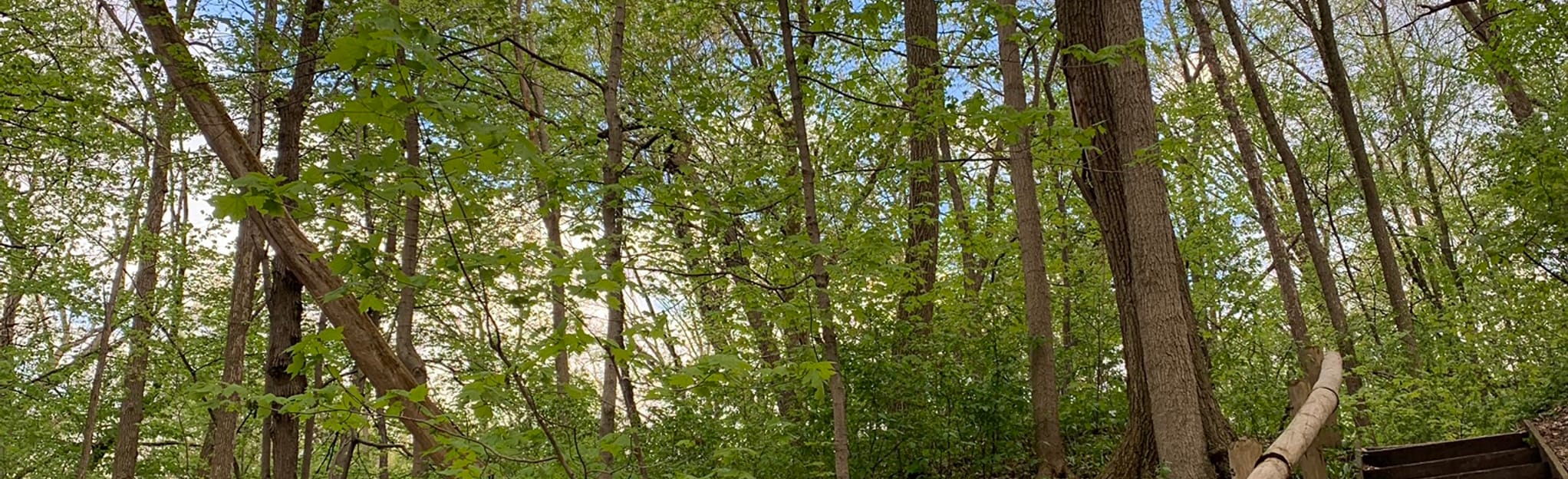 Jacobus Park Loop, Wisconsin - 67 Reviews, Map | AllTrails