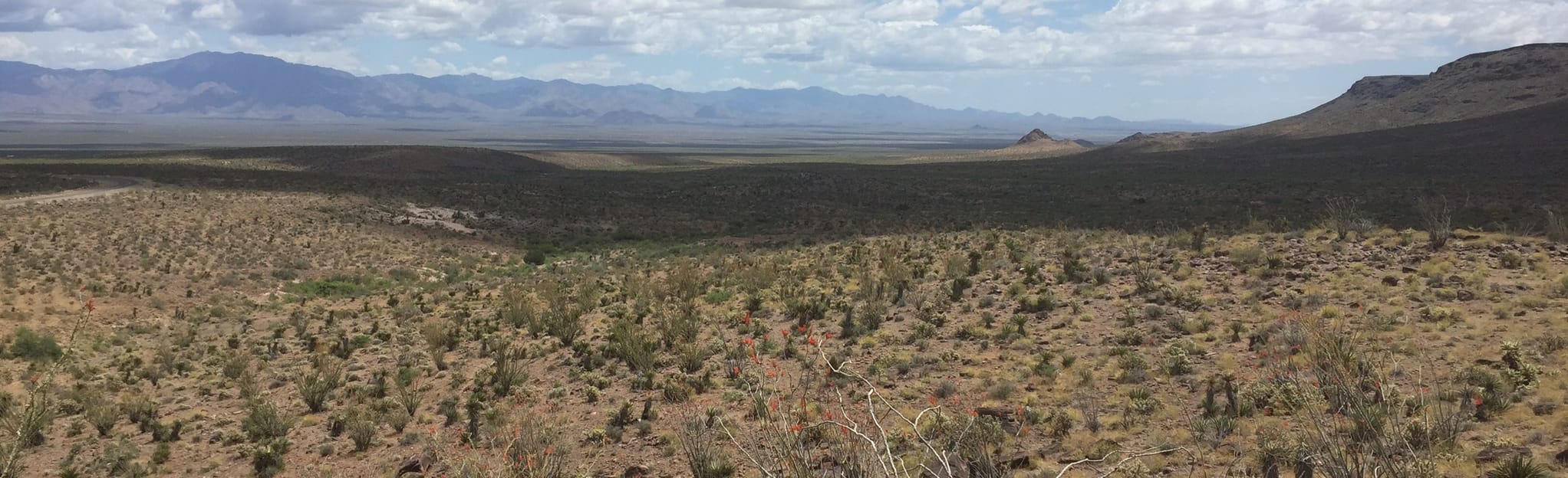 Cool Springs: Mesa Trail, Arizona - 23 Reviews, Map | AllTrails