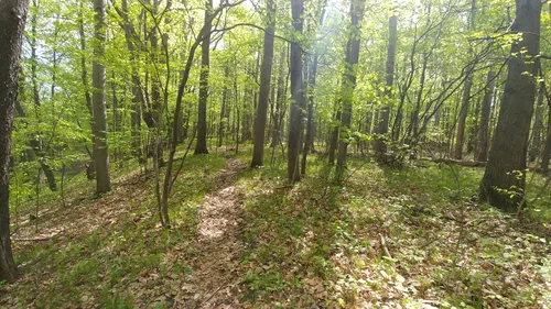 Best Hikes and Trails in Richfield County Park | AllTrails