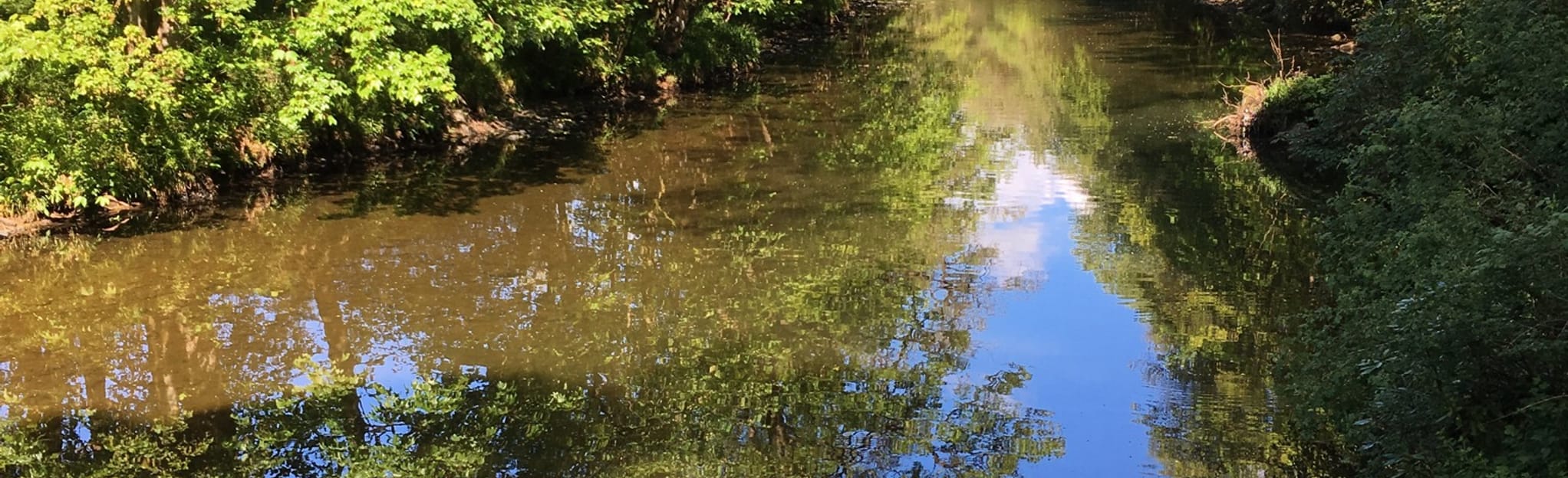 Catrine and Sorn Circular, East Ayrshire, Scotland - 24 Reviews, Map ...