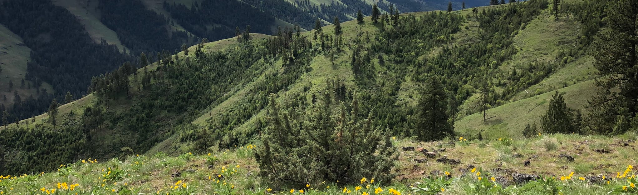 Chico Trail, Oregon - 6 Reviews, Map | AllTrails