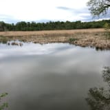 Huron River Path MetroPark, Ohio - 72 Reviews, Map | AllTrails