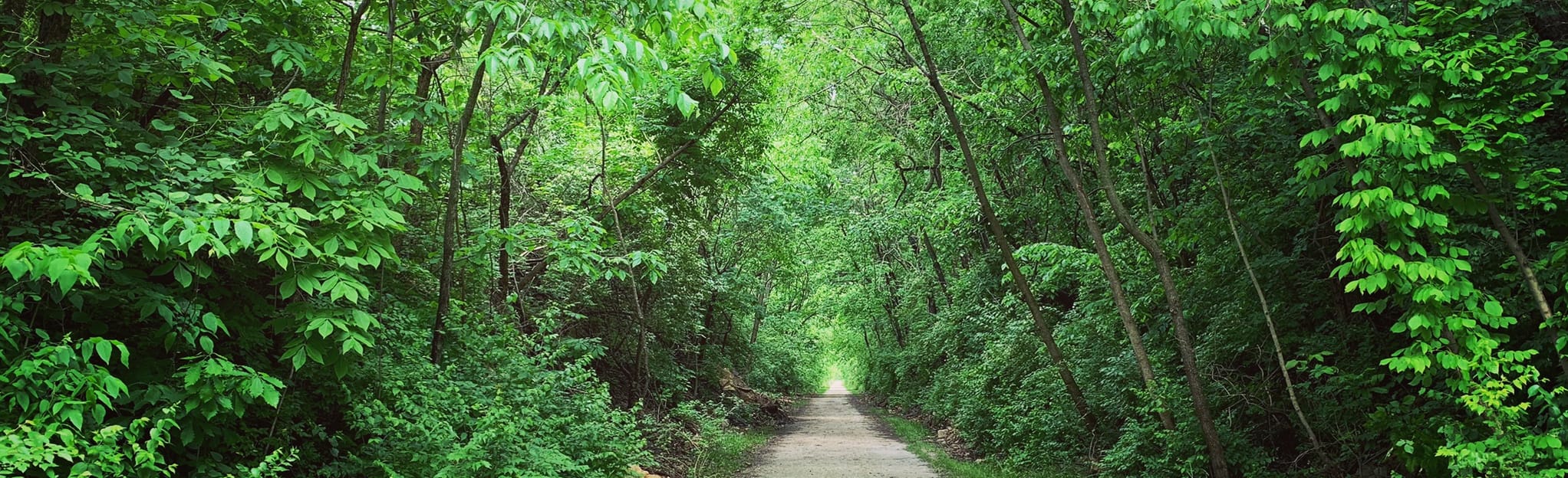 Rock Island Rail Corridor Shared Use Path, Missouri - 1,360 Reviews ...