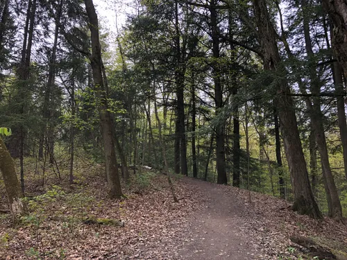 Best Hikes and Trails in Jefferson Forest | AllTrails
