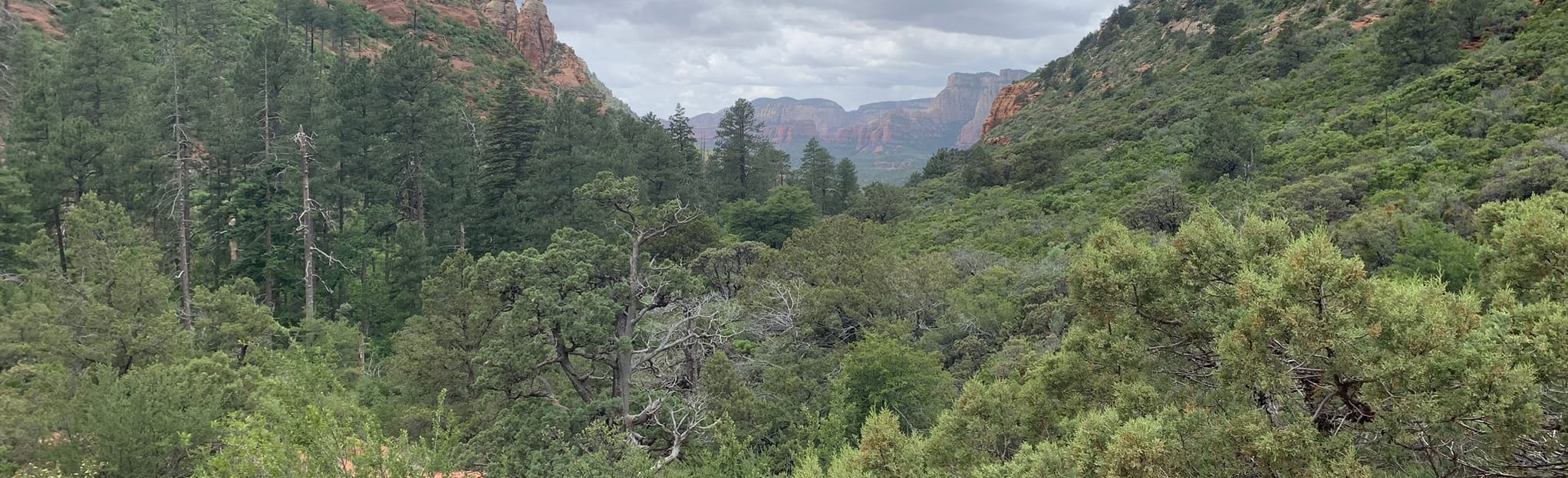 Vultee Arch Trail: 203 Reviews, Map - Arizona | AllTrails