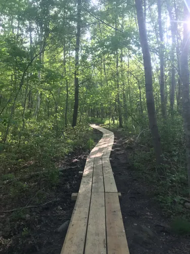Best Hikes and Trails in Saunderstown | AllTrails
