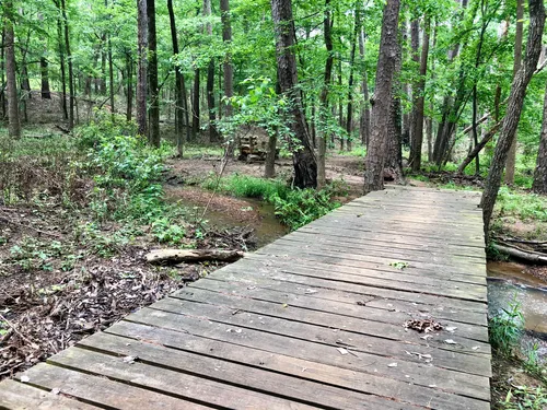 10 Best Trails and Hikes in Tyler | AllTrails