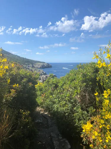 10 Best Trails and Hikes in Capri | AllTrails