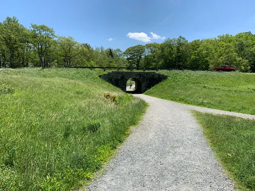 10 Best Hikes and Trails in Moses H Cone Memorial Park | AllTrails