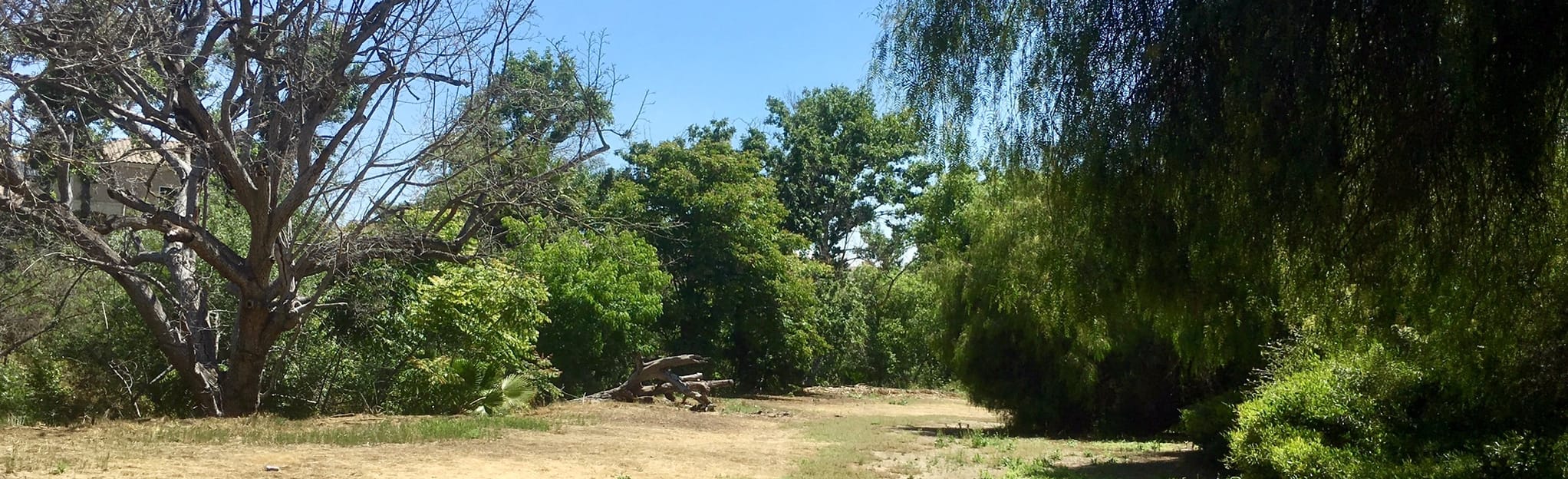 Walnut Creek Trail | Map, Guide - California | AllTrails