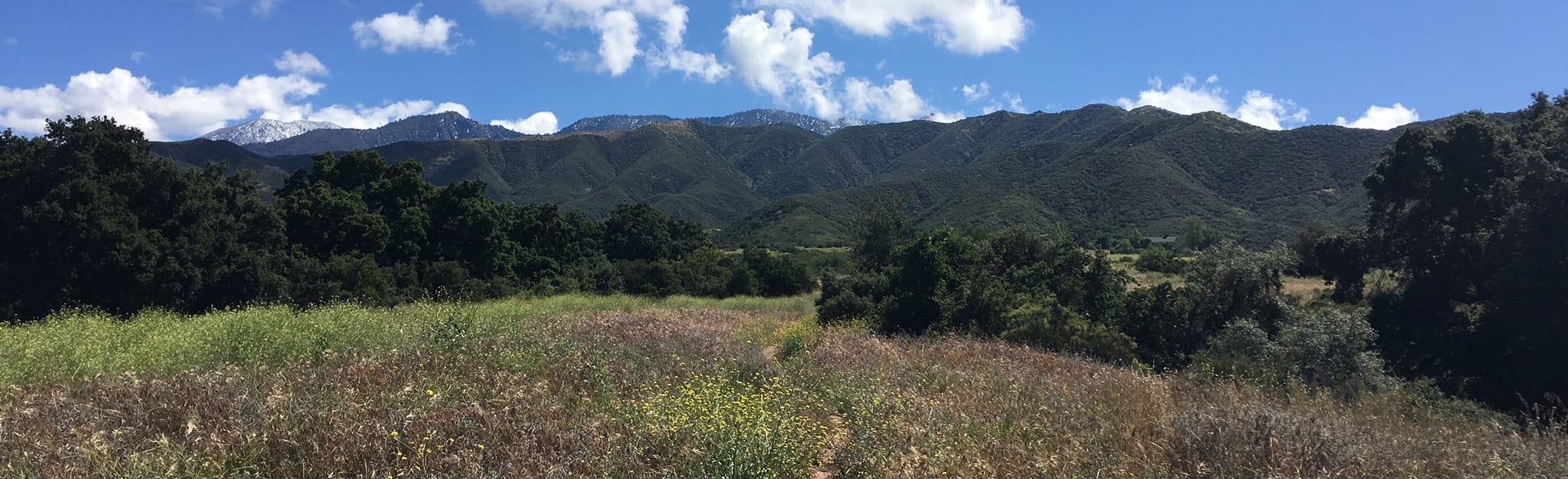 Oak Tree Loop Trail to McCullough Loop: 173 Reviews, Map - California ...