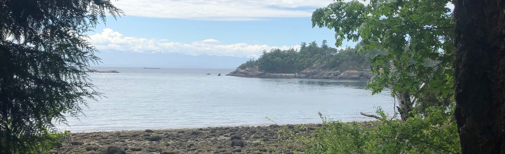 Point Nature Trail Loop: 214 Reviews, Map - British Columbia, Canada ...