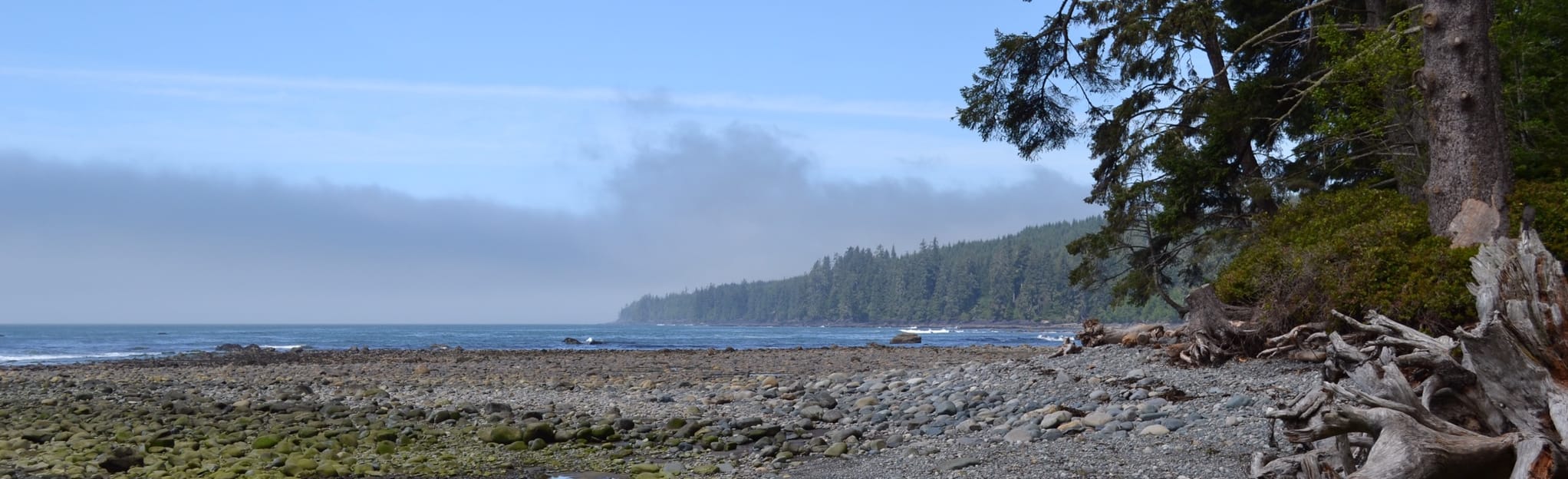 West Sombrio Beach, British Columbia, Canada - 134 Reviews, Map | AllTrails