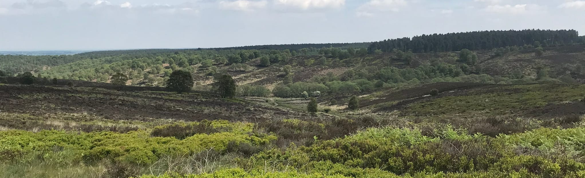 Cannock Chase and Chase Road Circular Walk: 73 Fotos - Staffordshire ...